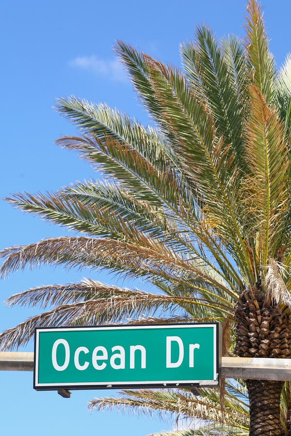 Ocean Drive Sign and Palm Tree Stock Photo - Image of international ...
