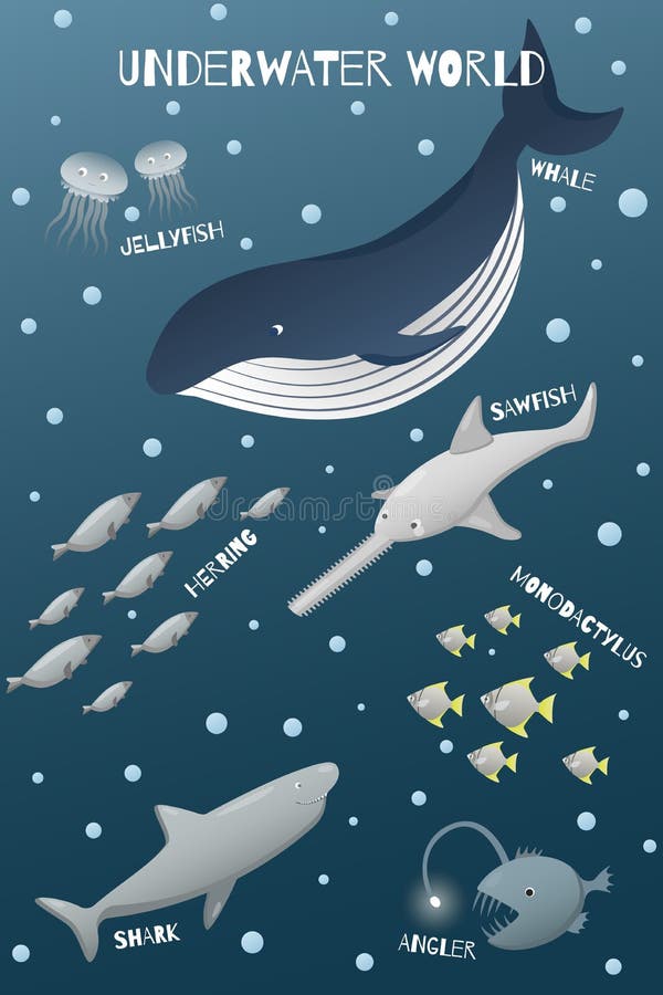 Ocean Fish Poster. Underwater World Stock Vector - Illustration of ...