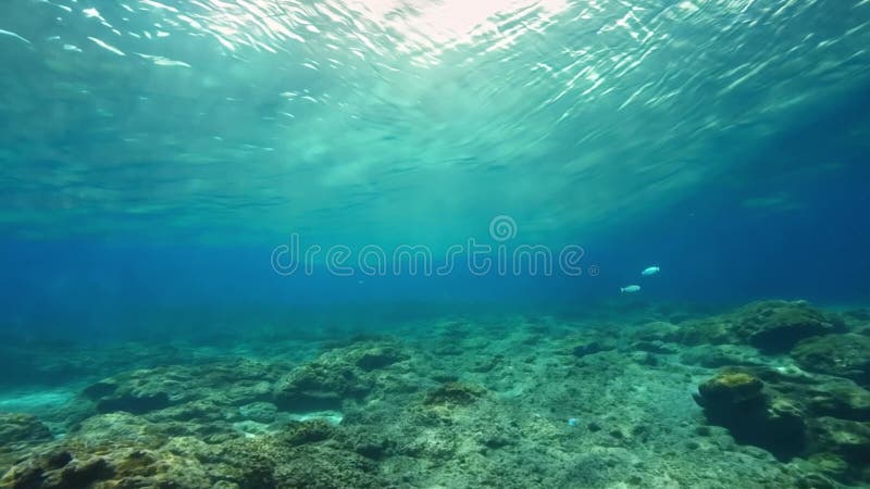 The Ocean Floor, Underwater Shows Sunlight through Waves. Generative AI ...
