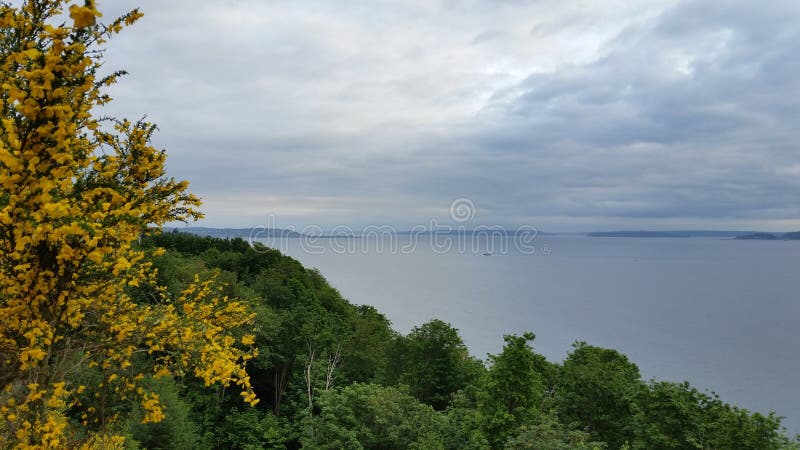 Ocean overlook stock image. Image of pacific, overlook - 108922105