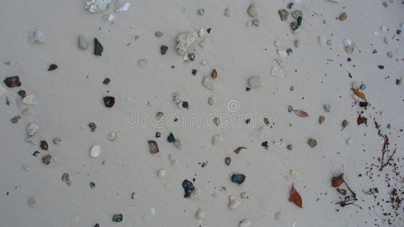 Ocean glass stock image. Image of salt, seaweed, seaglass - 46315097