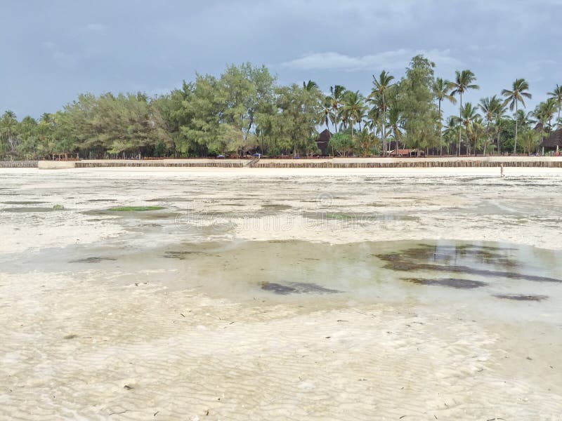 Ocean at low tide stock image. Image of tide, coast, soft - 73538507