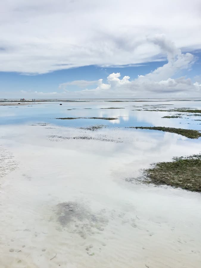 Ocean at low tide stock photo. Image of clouds, mainland - 73538988