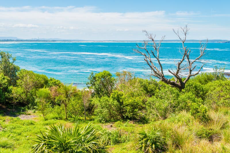 Ocean and Native Vegetation from Norah Head Coast Stock Photo - Image ...