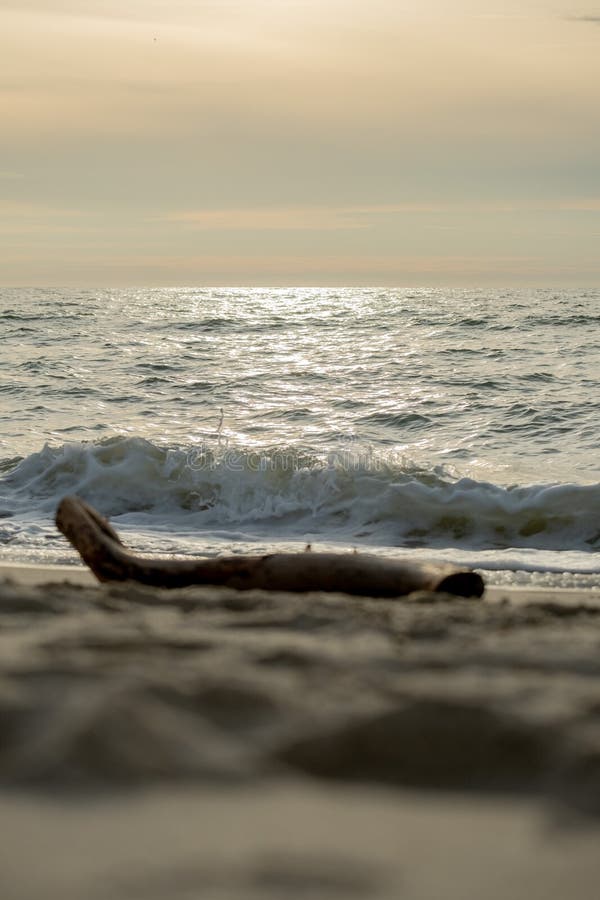 Ocean nature stock image. Image of nature, ocean, time - 253680505