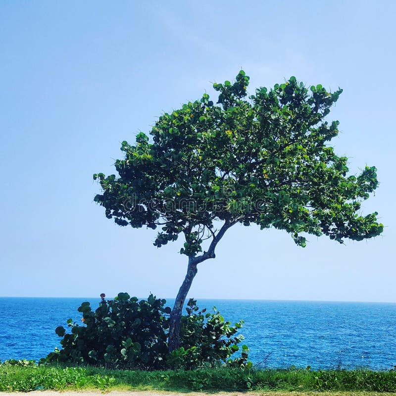 Ocean nature view stock photo. Image of nature, view - 102372746