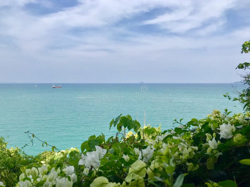 Ocean stock photo. Image of ocean, beach, flowers, phuket - 132635678