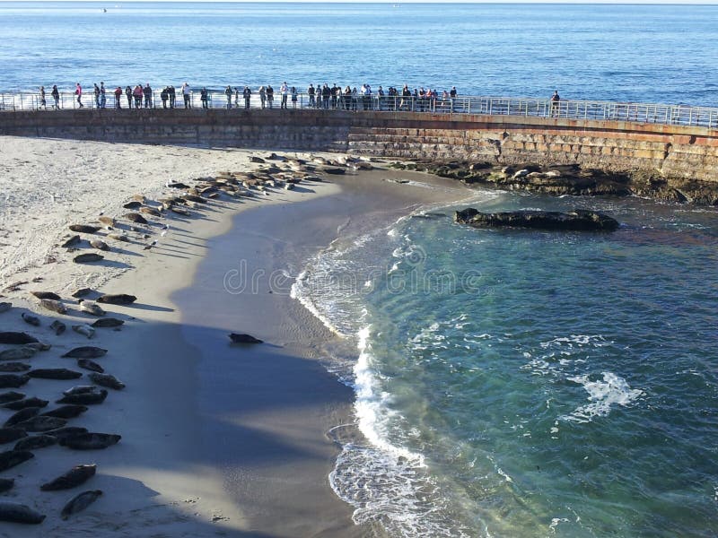 Ocean paradise stock image. Image of scene, blue, waters - 48478035