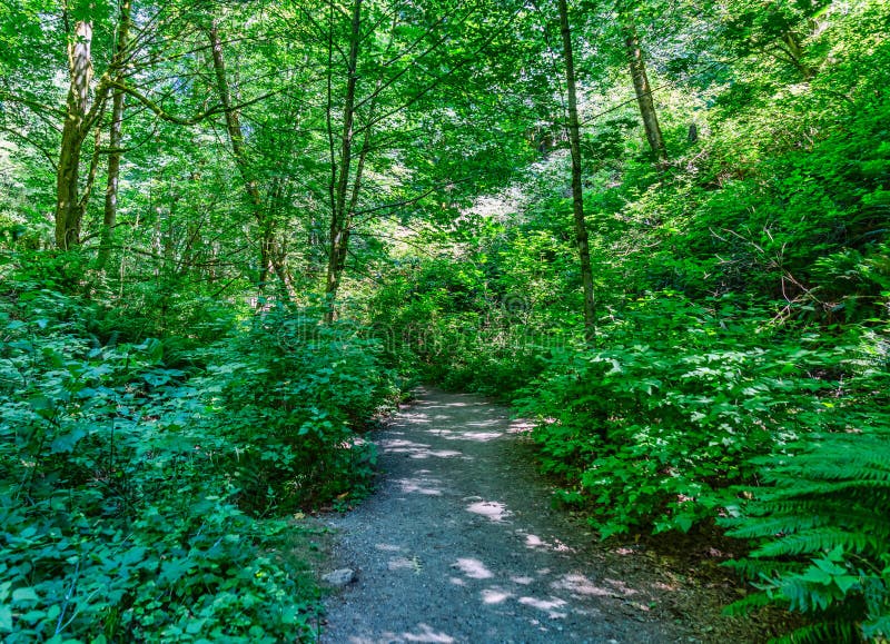 Ocean Park Trail 2 stock photo. Image of ocean, point - 287275212