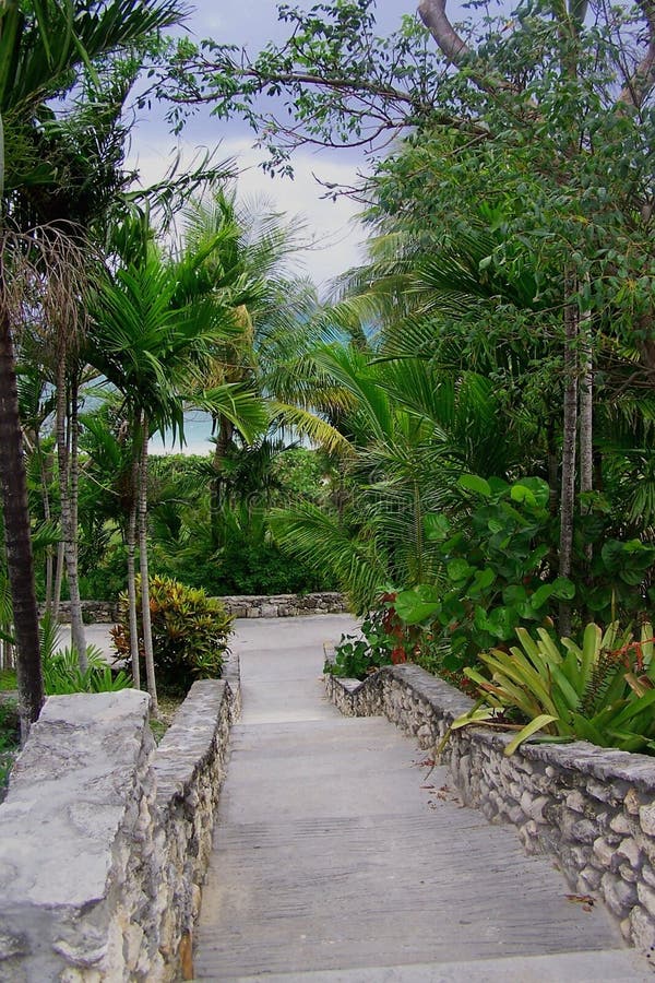 Ocean Path Picture. Image: 2611197