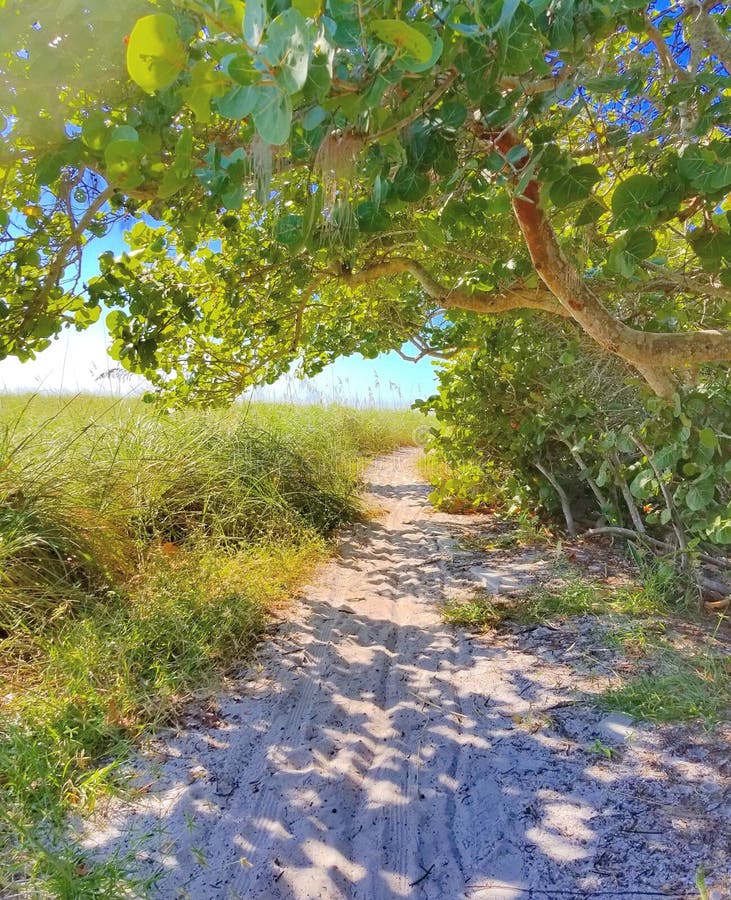 Ocean Path stock photo. Image of ocean, beautiful, nature - 105063724