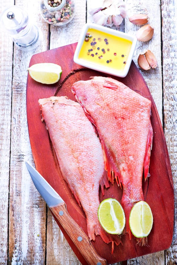 Ocean perch stock image. Image of pink, perch, eating - 70603943