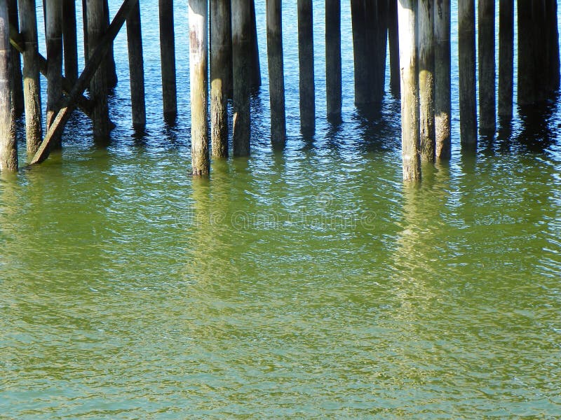Ocean Pier Log Piling Surrounded by Green Seawater Stock Photo - Image ...