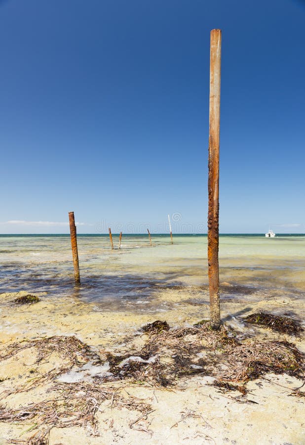 Ocean Poles stock photo. Image of australia, south, clear - 29632408
