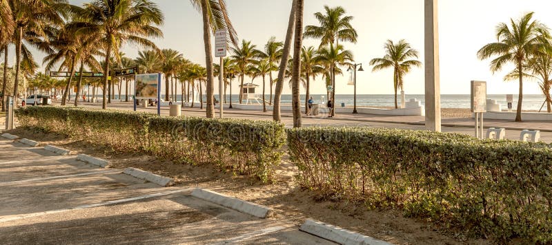Ocean Promenade with Palms and Sea Stock Image - Image of travel ...
