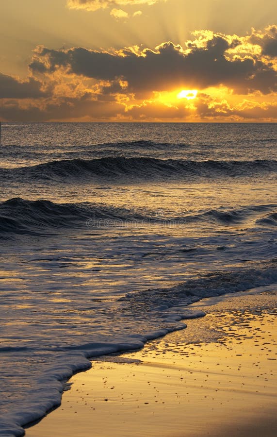 Ocean ray stock photo. Image of gold, natural, yellow - 3940274