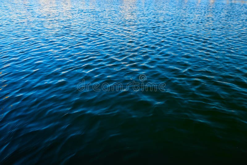 Water Surface Ripples and Wavelets. Background Material for Graphic ...