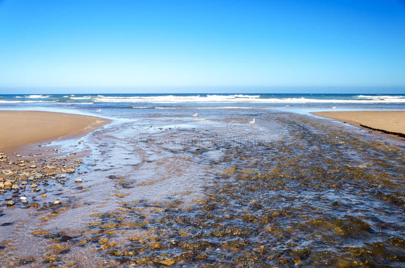 Pacific Ocean and the Samoa Dunes Stock Photo - Image of visit, scenery ...