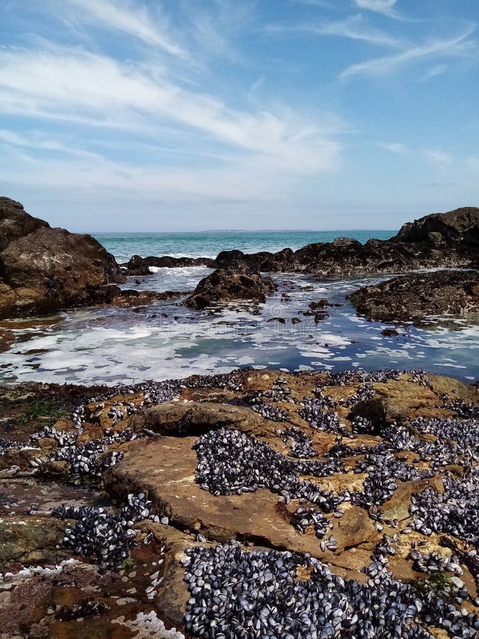 Ocean rock pools in africa stock photo. Image of marine - 199335270