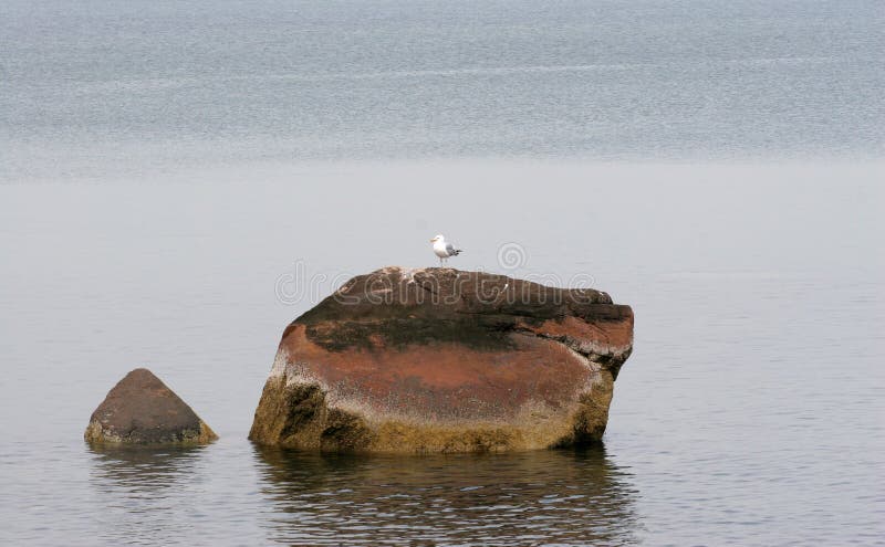 Ocean rocks stock photo. Image of shore, wave, rocks, salt - 860652