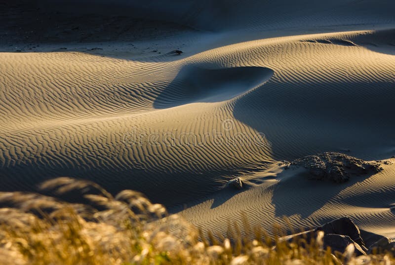 Puddle of Water Near the Dunes Stock Photo - Image of rural, dunes ...