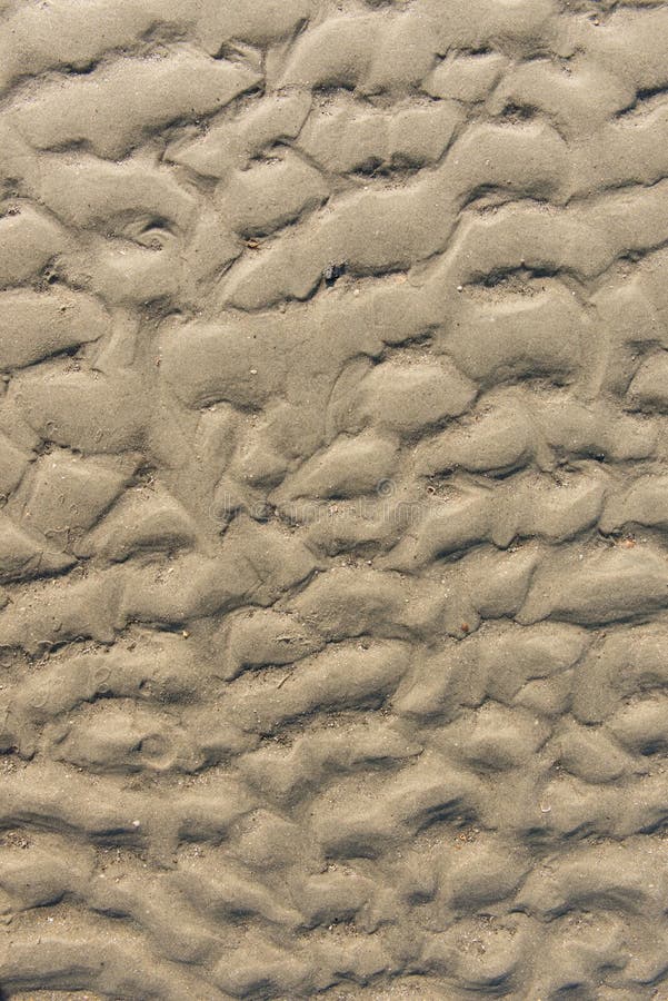Ocean Sand Pattern stock image. Image of tide, snail - 96713947