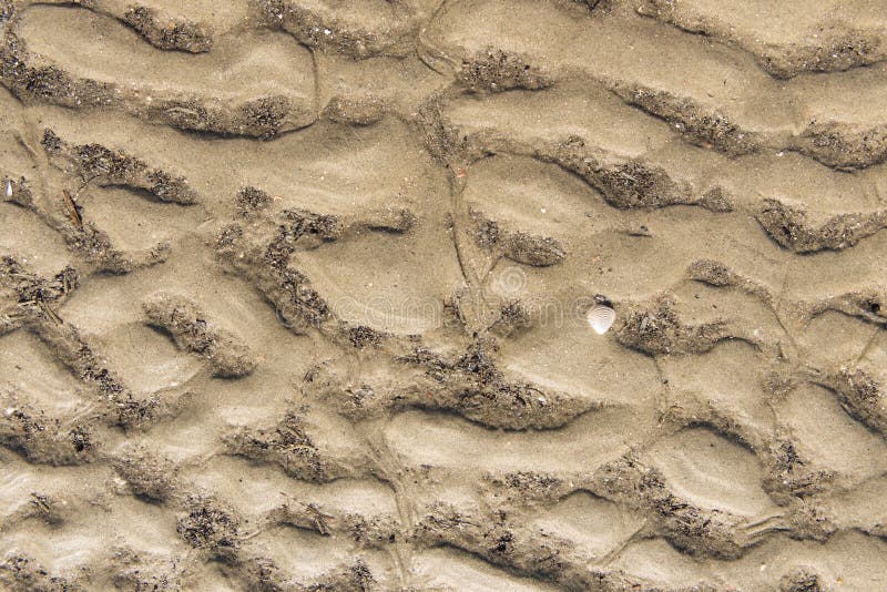 Ocean Sand Pattern stock photo. Image of detail, closeup - 96714100