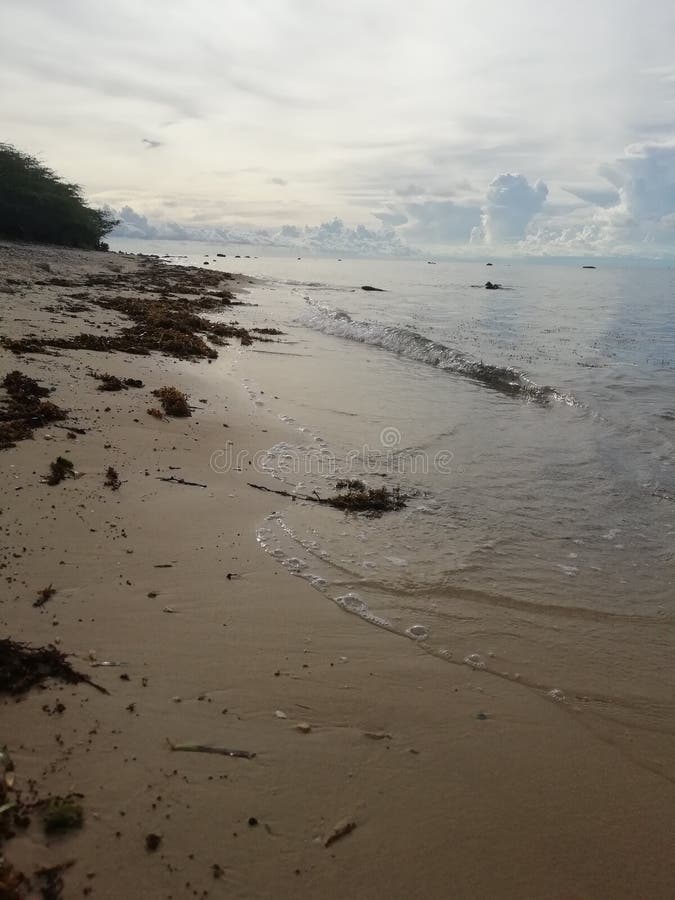 Good Morning Sea! stock photo. Image of beach, health - 26126862