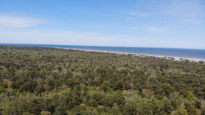 Ocean Sea Miami Florida Forest Stock Photo - Image of ocean, forest ...