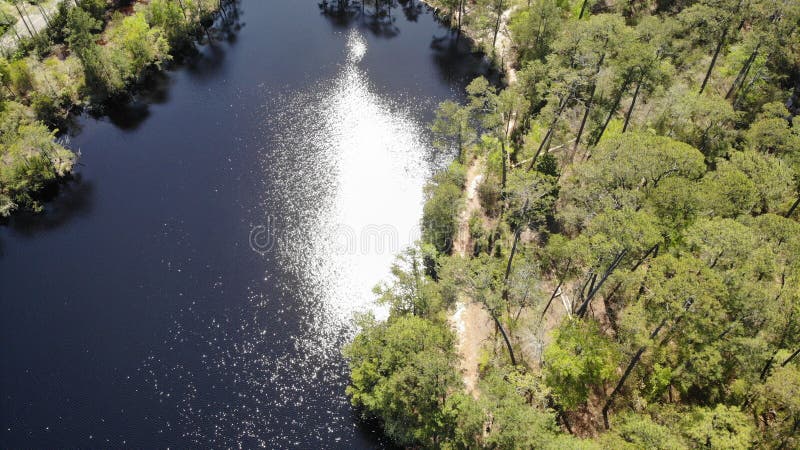 Ocean Sea Miami Florida Forest Stock Image - Image of ocean, miami ...