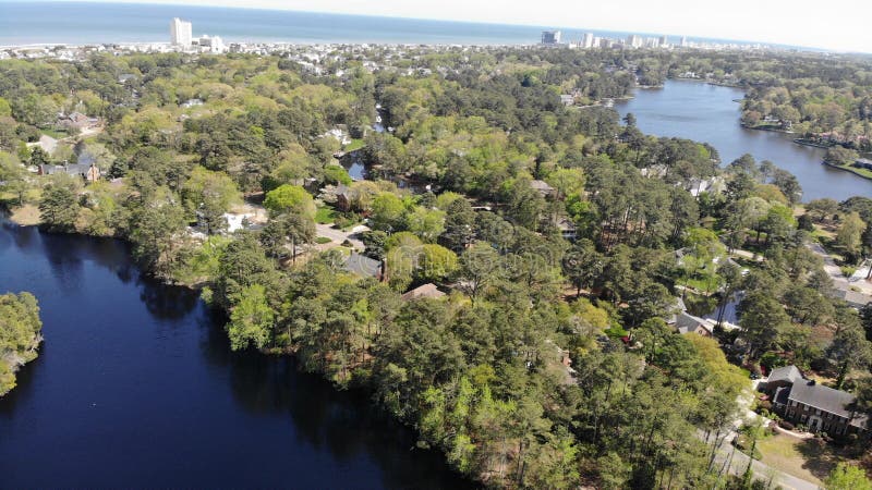 Ocean Sea Miami Florida Forest Stock Image - Image of florida, ocean ...