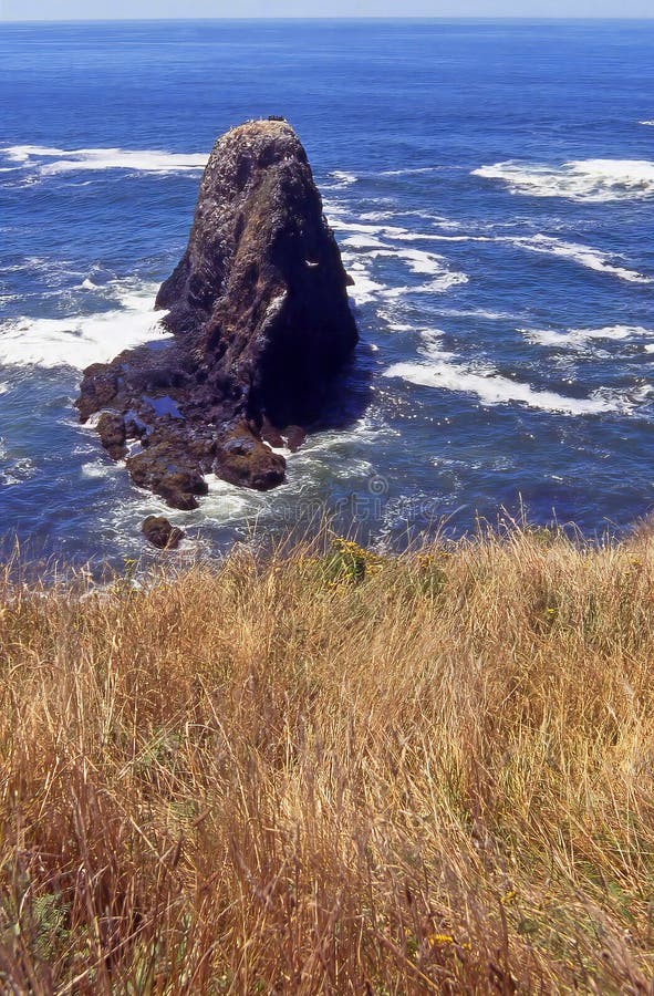 Ocean Sea Stack Protrudes Out of the Surf Stock Image - Image of summer ...