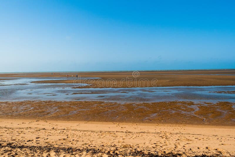 Ocean Sea Tidal Sand Banks Beach Stock Photo - Image of fish, beach ...