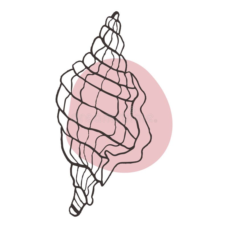 Ocean Seashell Design Elements. Ideal for Summer Postcards, Print ...