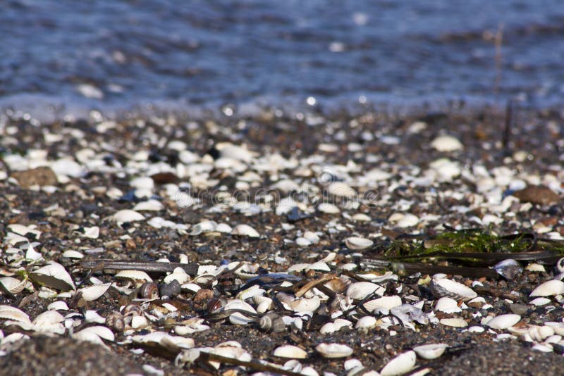 Ocean stock image. Image of wave, horizont, ocean, nature - 88893905