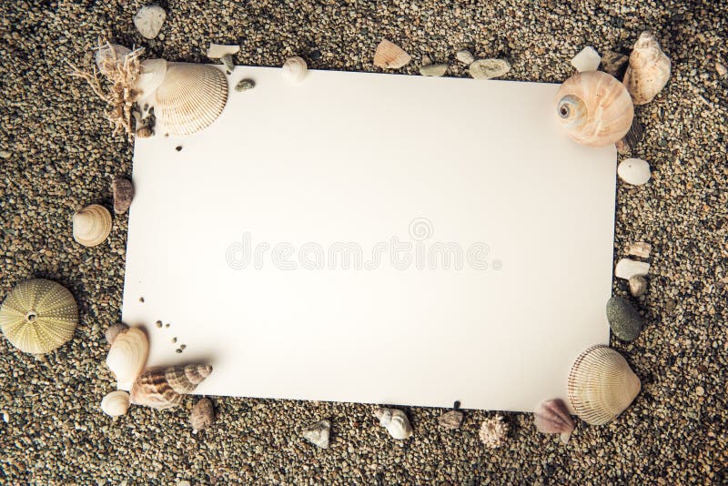 Ocean Shell Frame Background with White Paper Stock Photo - Image of ...