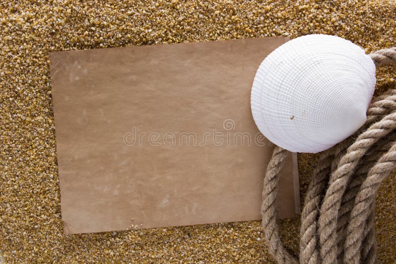 Ocean shell on the sand stock photo. Image of piece, macro - 55797368