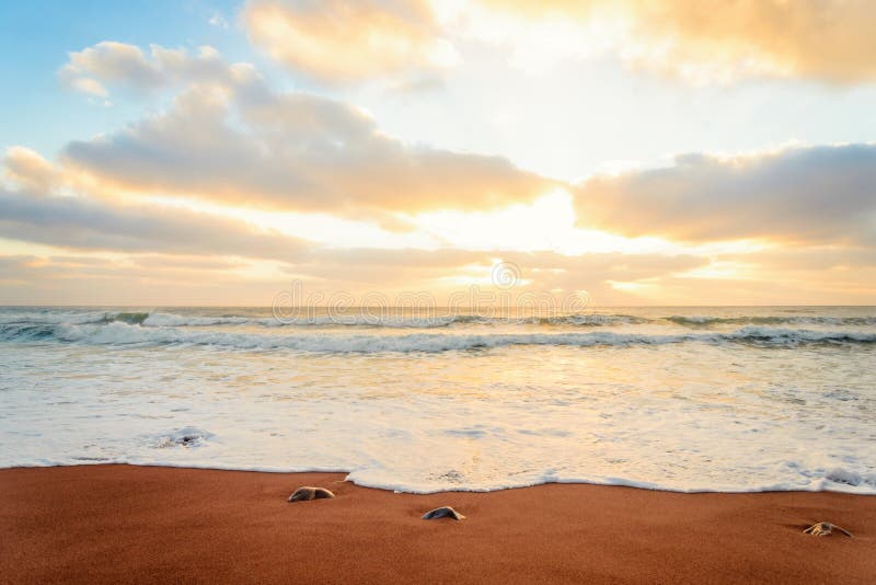 Ocean shore in the morning stock image. Image of ocean - 45400671