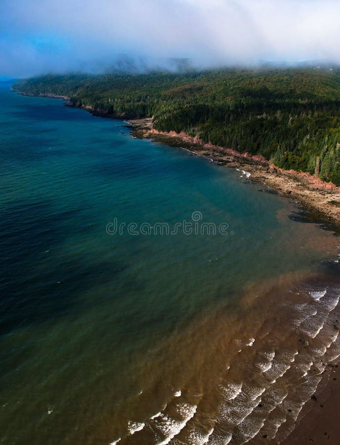 The Ocean and Shoreline in Front of Forested Area in Front of Trees ...