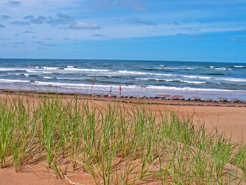 Ocean side grass stock image. Image of green, waves, water - 7137555