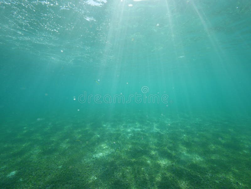 Caribbean sea split level stock photo. Image of diver - 81203932