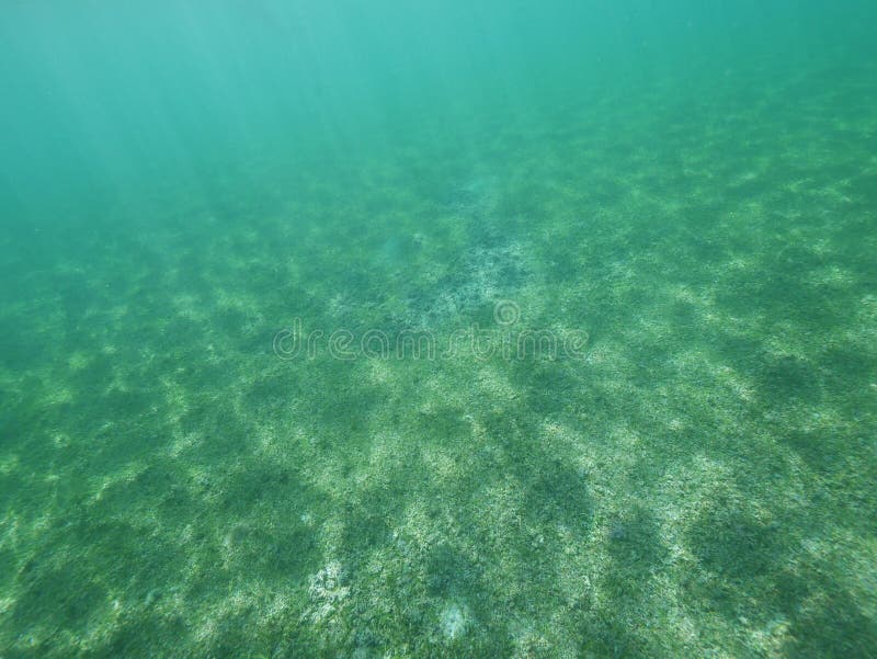 Caribbean Sea Split Level Ocean Stock Photo - Image of landscape ...