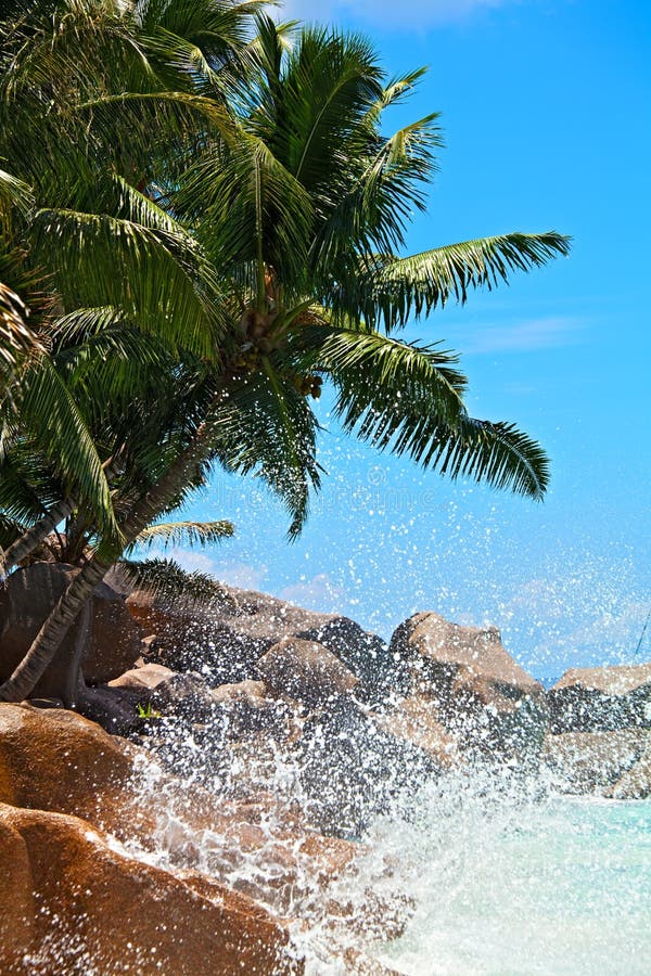 Ocean splash stock image. Image of splash, surf, surge - 56500069