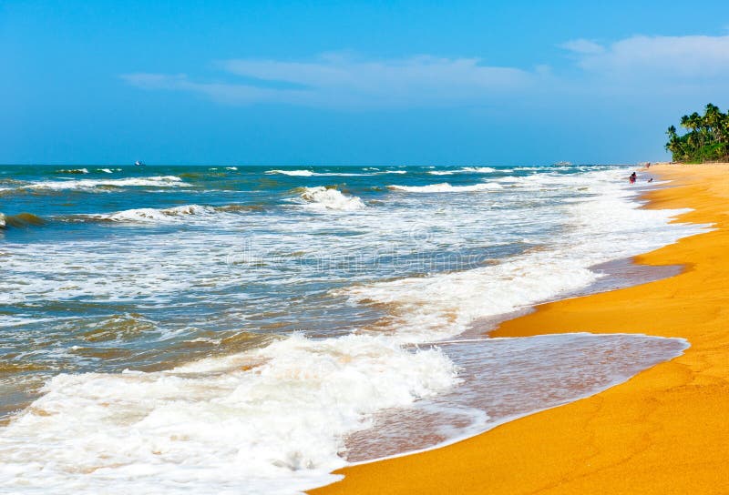 Ocean Sri Lanka. Nature and Palm Trees Stock Image - Image of tourism ...