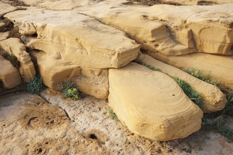 Ocean Stone Texture Natural Stock Photo - Image of modern, grey: 231076598
