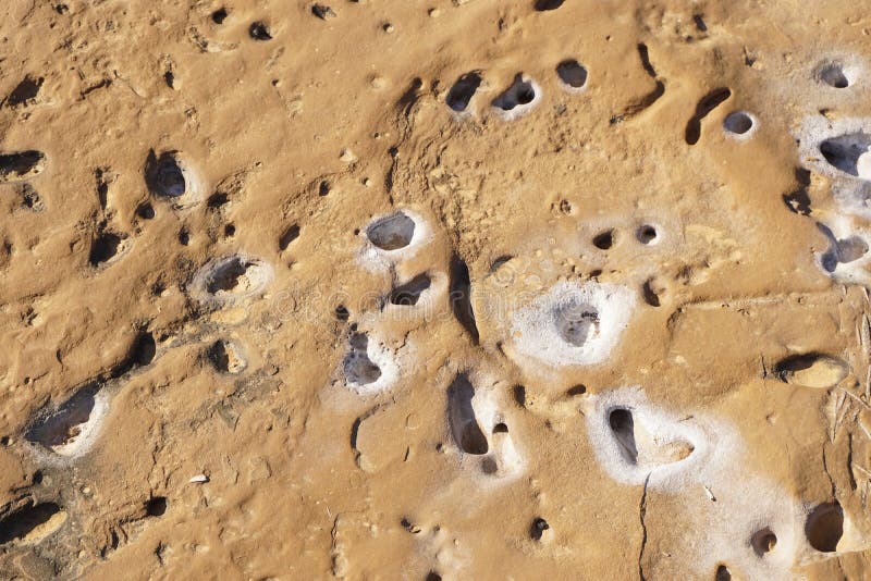 Ocean Stone Texture Natural Stock Photo - Image of antique, concrete ...