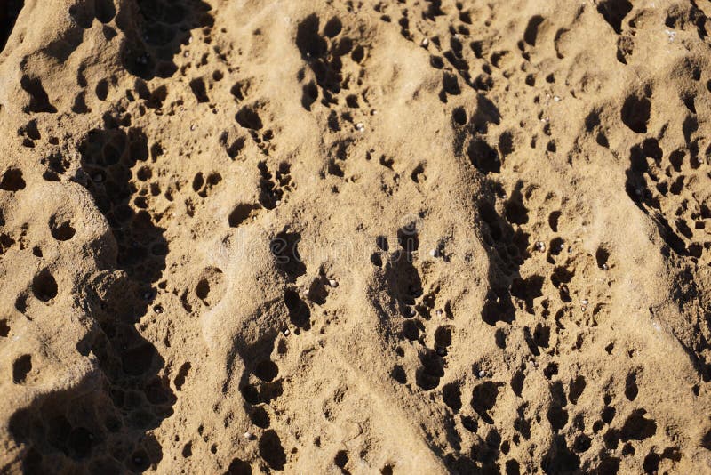 Ocean Stone Texture Natural Stock Photo - Image of modern, grey: 231076598