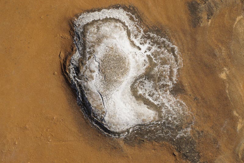 Ocean Stone Texture Natural Stock Photo - Image of floor, gray: 231076660