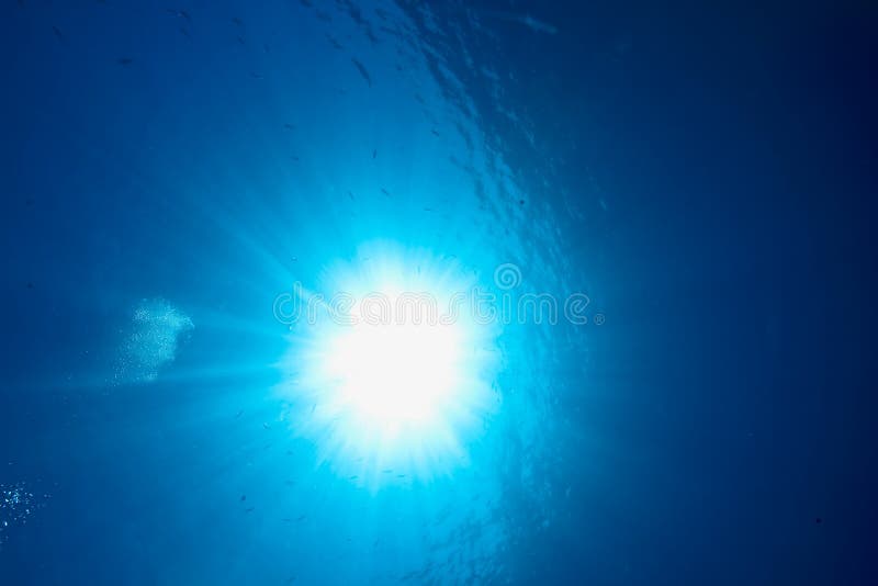 Ocean, sun and fish stock image. Image of relaxation, fresh - 9434295
