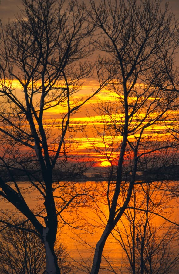 Leafless Trees. Cold Autumn Fall Spring Weather Forecast Stock Photo ...